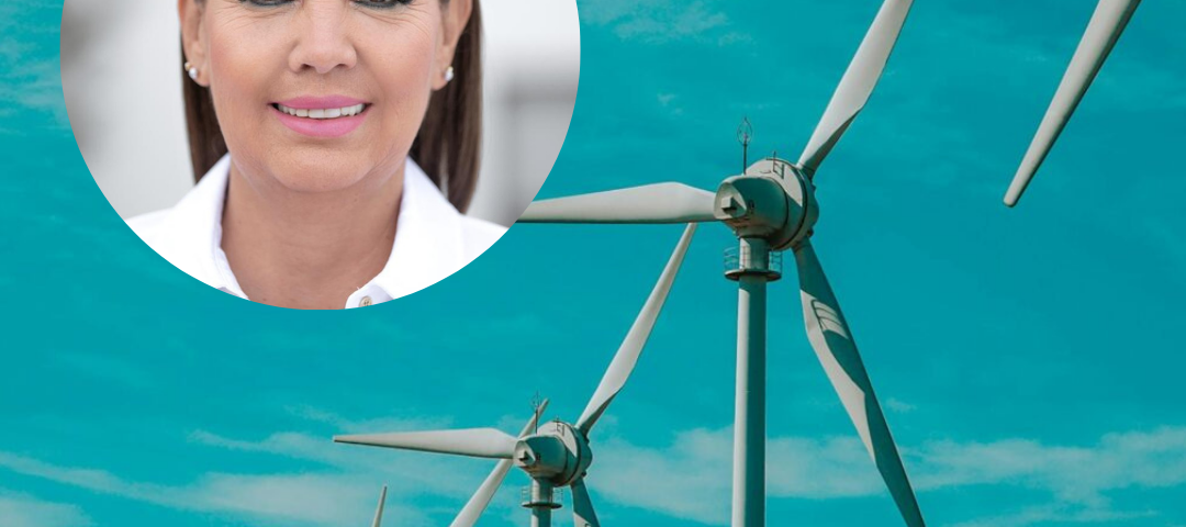 Senadora panista propone acelerar la transición a energías limpias en ...